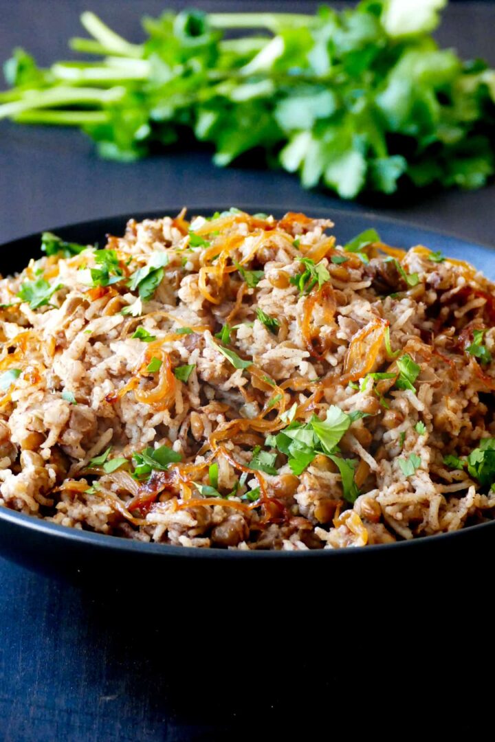 Instant Pot Mujadara - Rice and Lentils - Paint The Kitchen Red